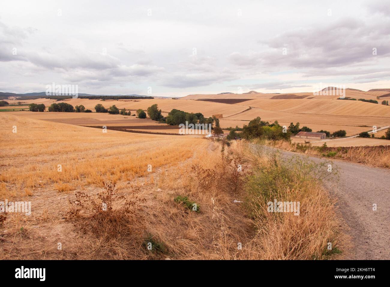 Rolling hills: The landscape of the Westerrn La Rioja region with its ...