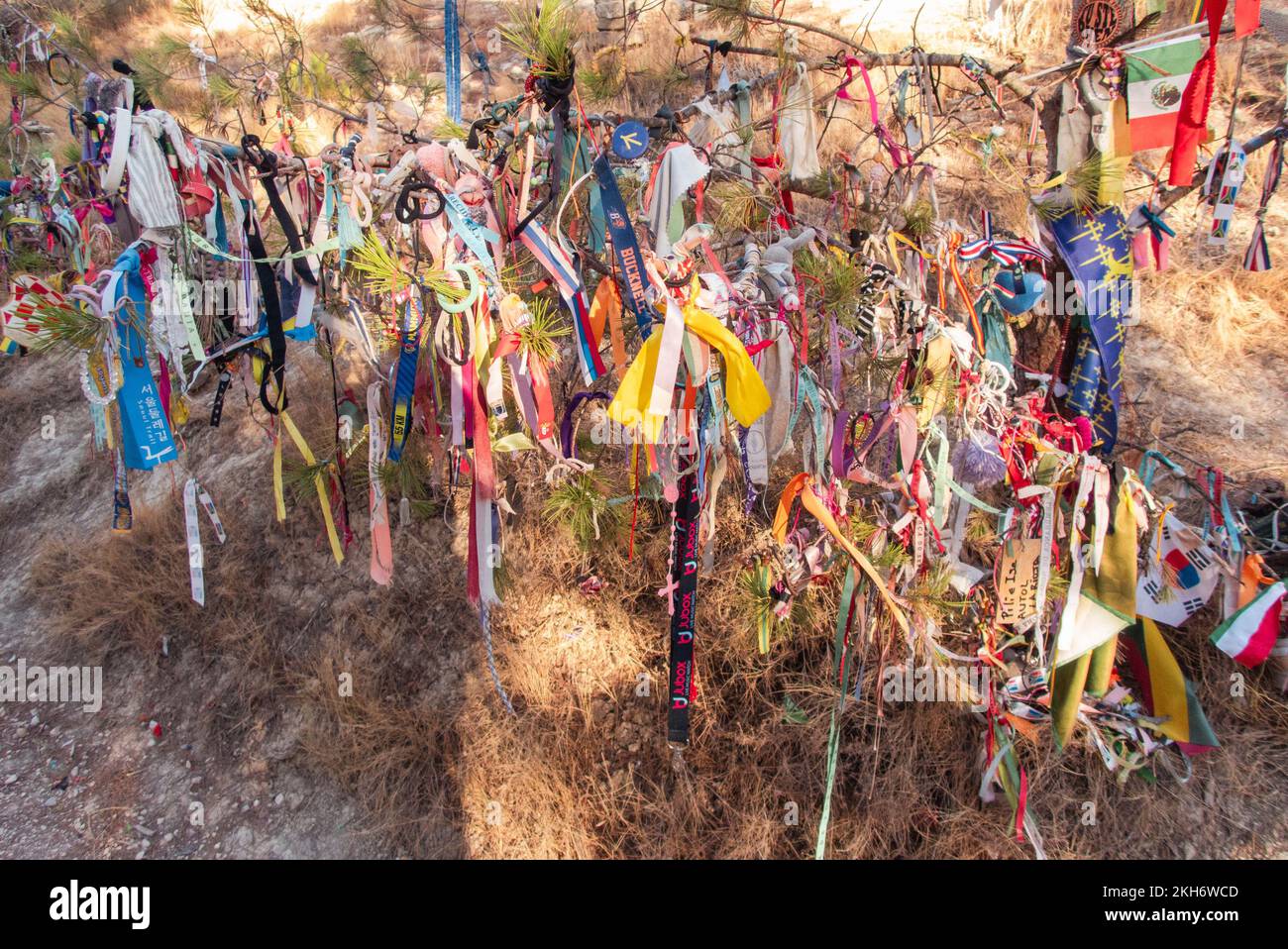 A tree full of good wishes. Pilgrims have left colourful loops and ...