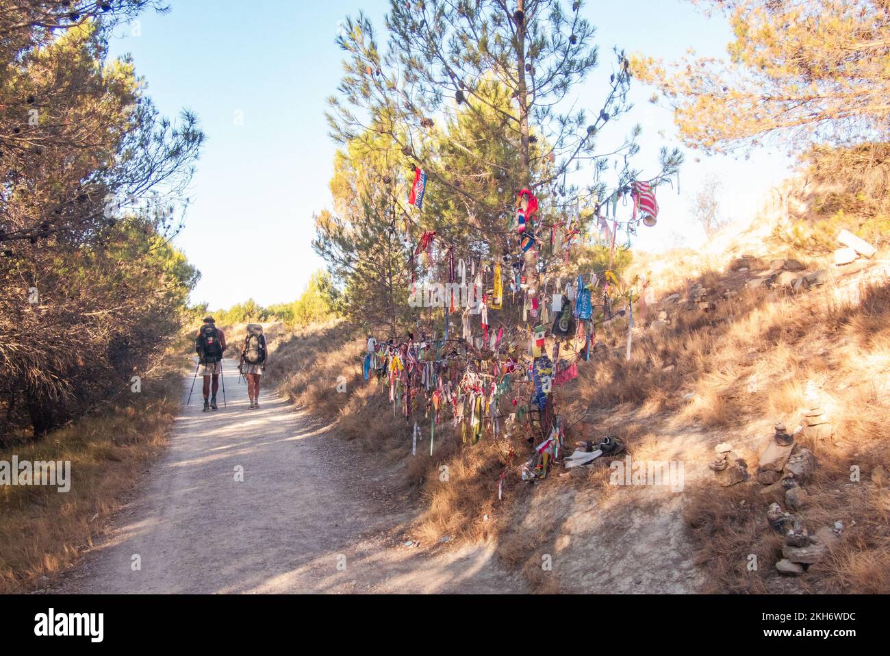 A tree full of good wishes. Pilgrims have left colourful loops and ...
