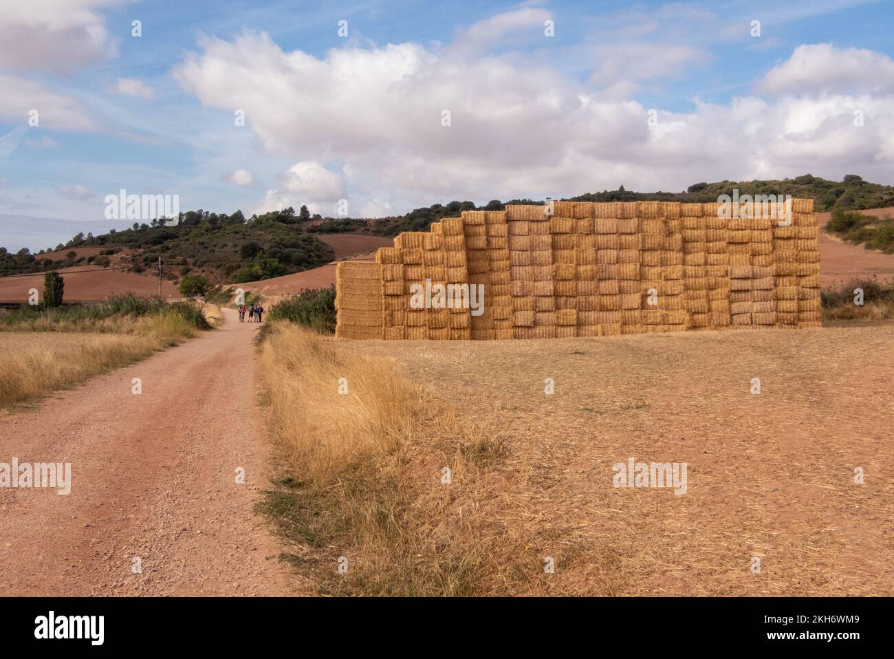 Hay bales next to the Way of St. James on route to Los Arcos Stock ...