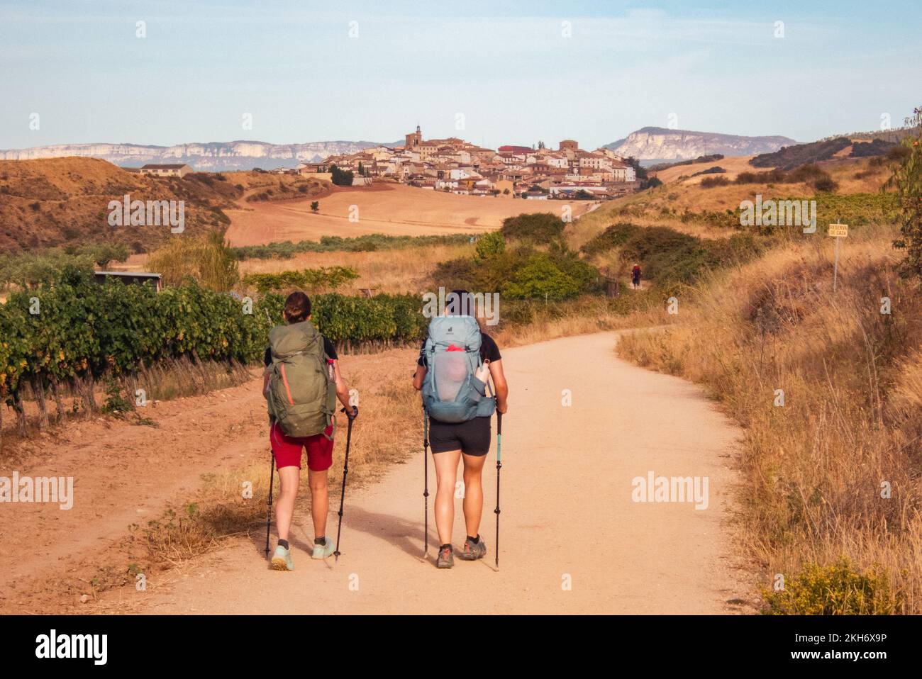 Two pilgrims on the Camino de Santiago in the hills of Navarra walking ...