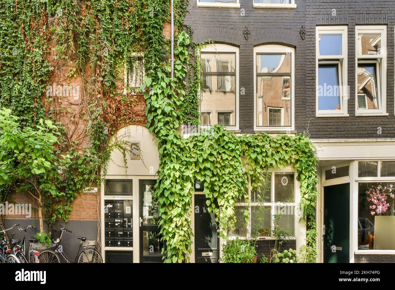 View of street near building with beauty of vegetation outside Stock ...