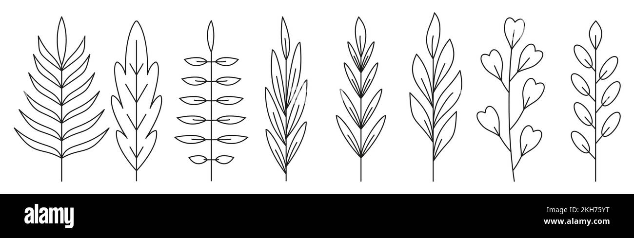 Branch leaf black line icon set. Outline forest plant herbal deciduous ...