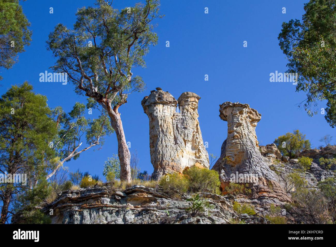 The rock formation in the Mt Moffat section of Carnarvon National Park ...