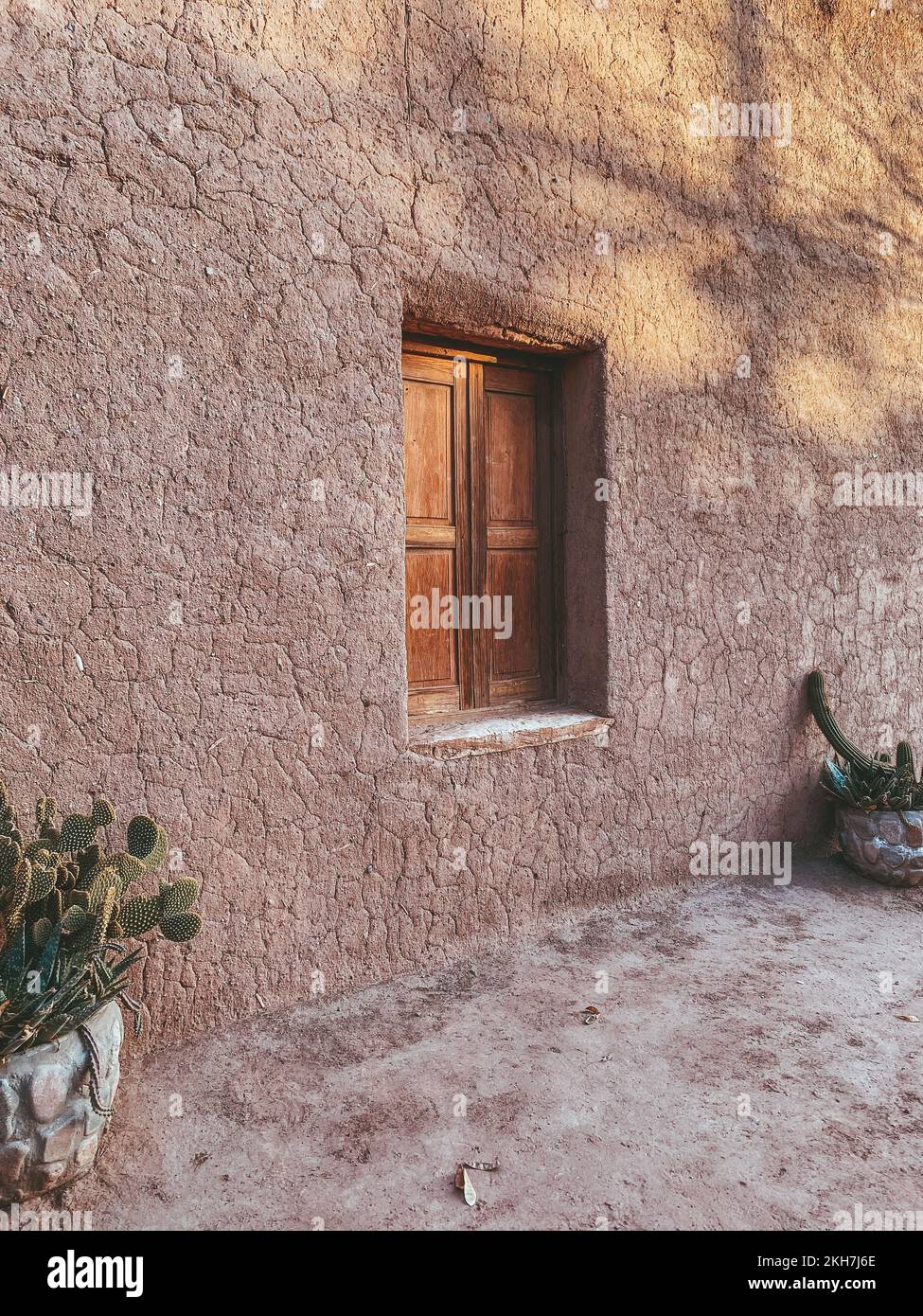 A vertical shot of an adobe wall with a wooden window and cactuses in ...