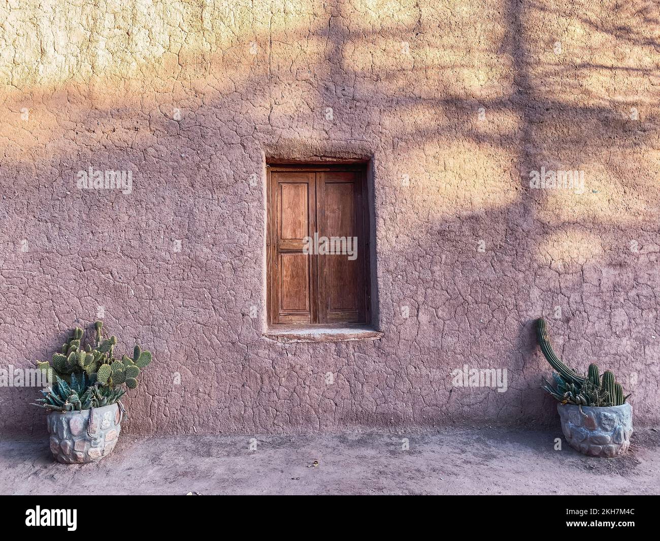 An adobe wall with a wooden window and cactuses in flower pots in front ...