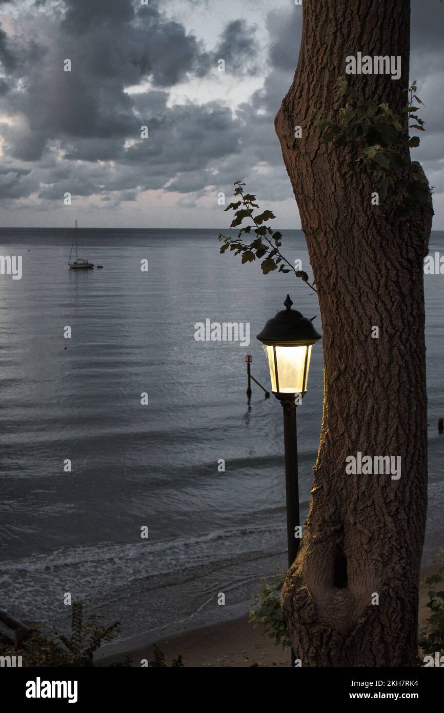 A vertical shot of a beach with a tree and a lamp in Shanklin, Isle of ...
