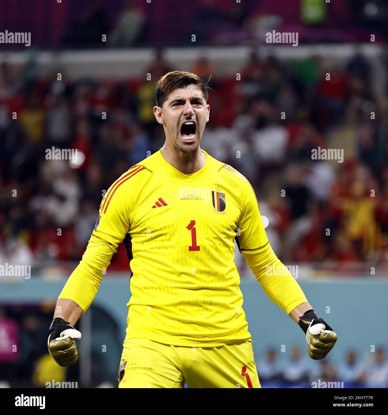 Al-Rayyan, Qatar. 23rd Nov, 2022. AL-RAYYAN - Belgium goalkeeper ...