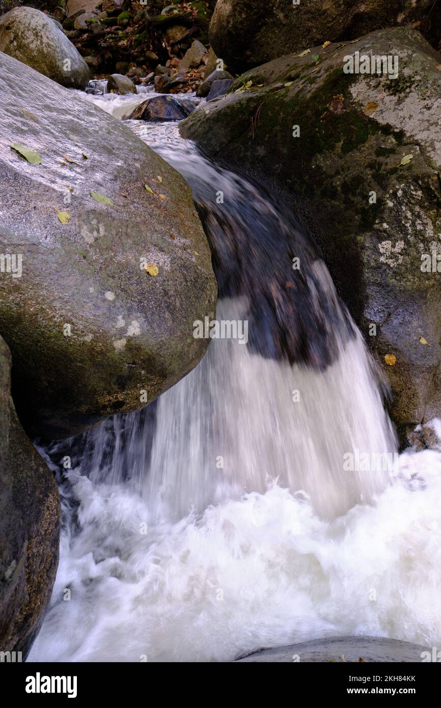 Water flowing over rocks in the forest Stock Photo - Alamy