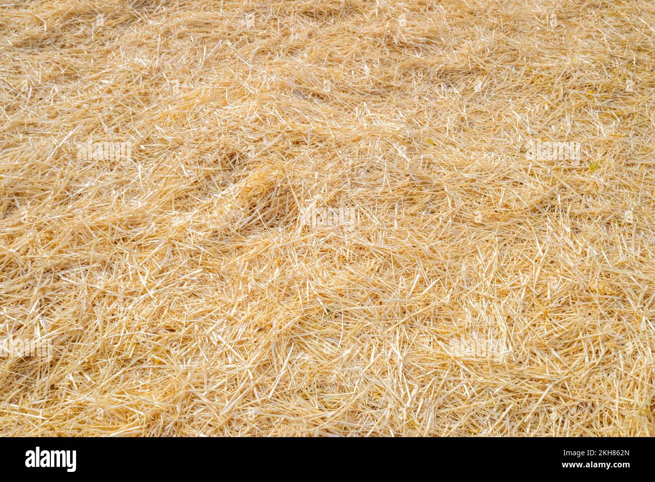 Natural dry straw background for designs Stock Photo - Alamy