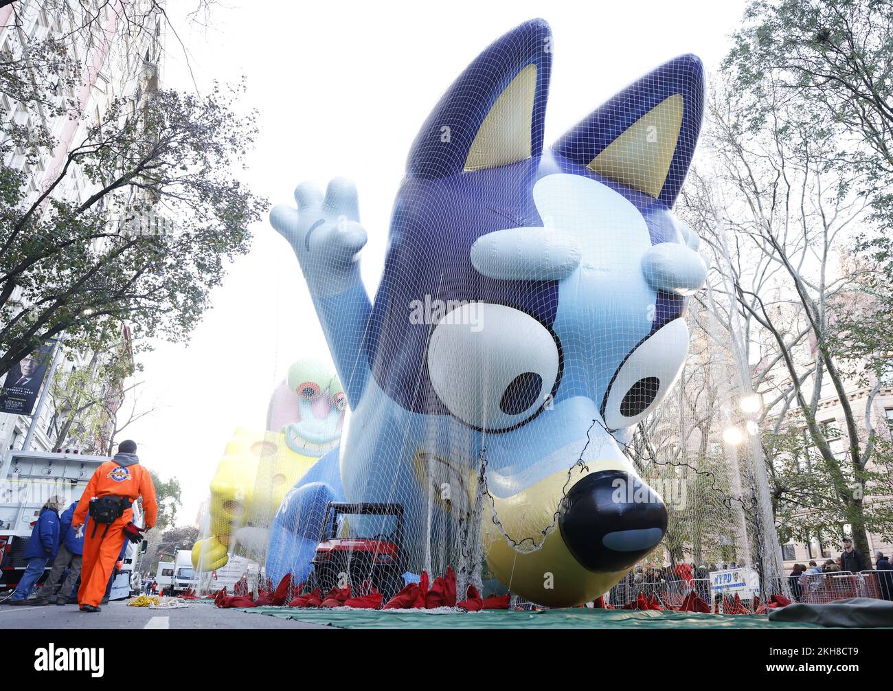 New York, United States. 23rd Nov, 2022. The Bluey Balloon is inflated ...