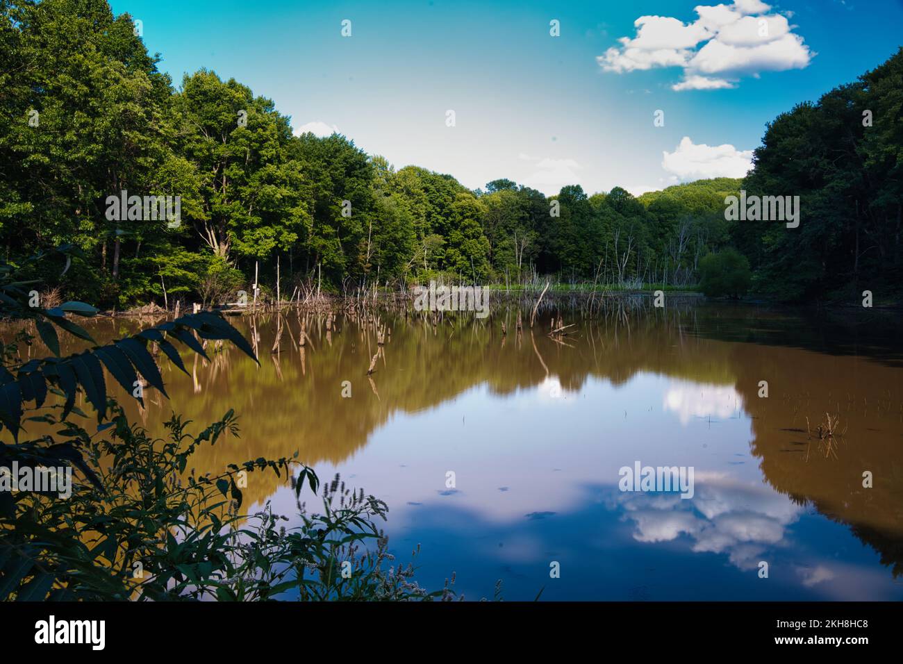 A horizontal image of a lake with the reflection of blue sky in the ...