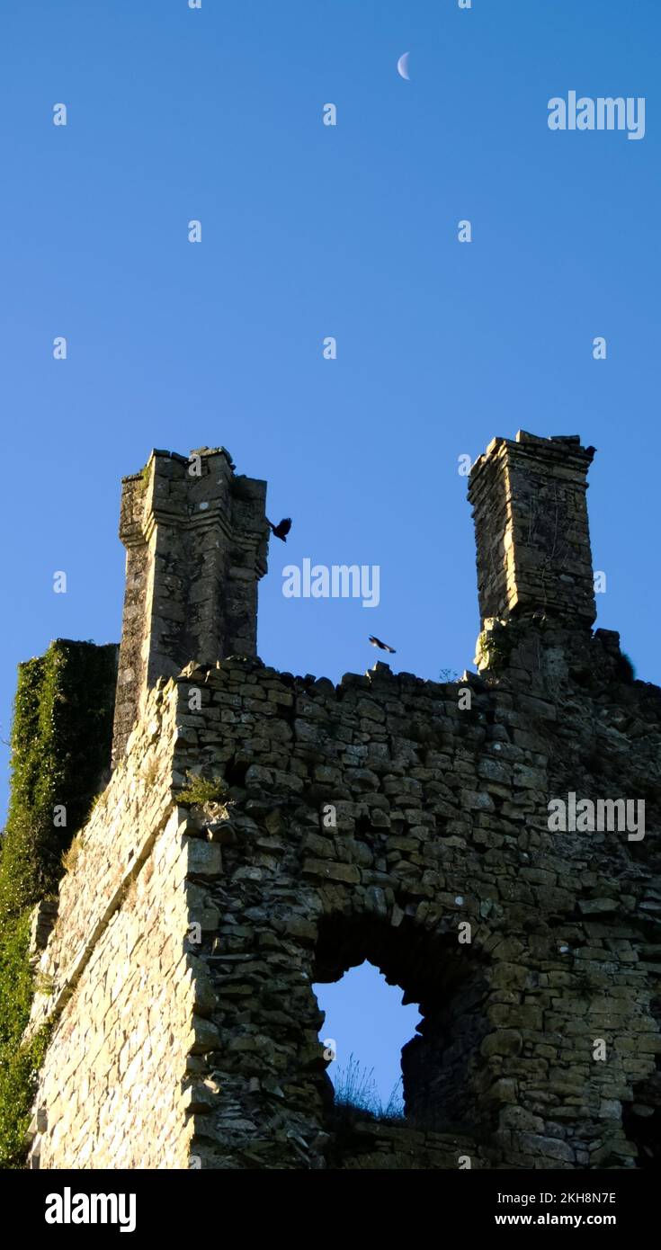 Carbury Castle Crows Flying Stock Photo - Alamy