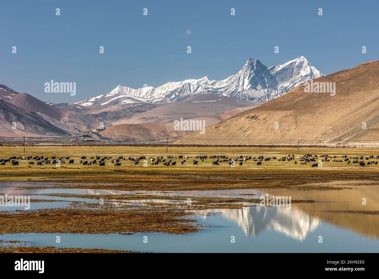The plateau lakes and snow mountains in China Stock Photo - Alamy