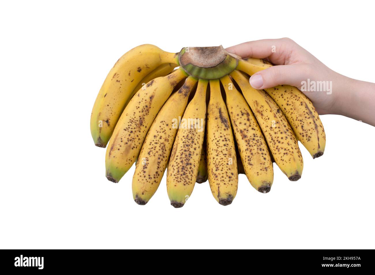 banana fruit in hand, tropical fruit pattern, banana isolated Stock ...