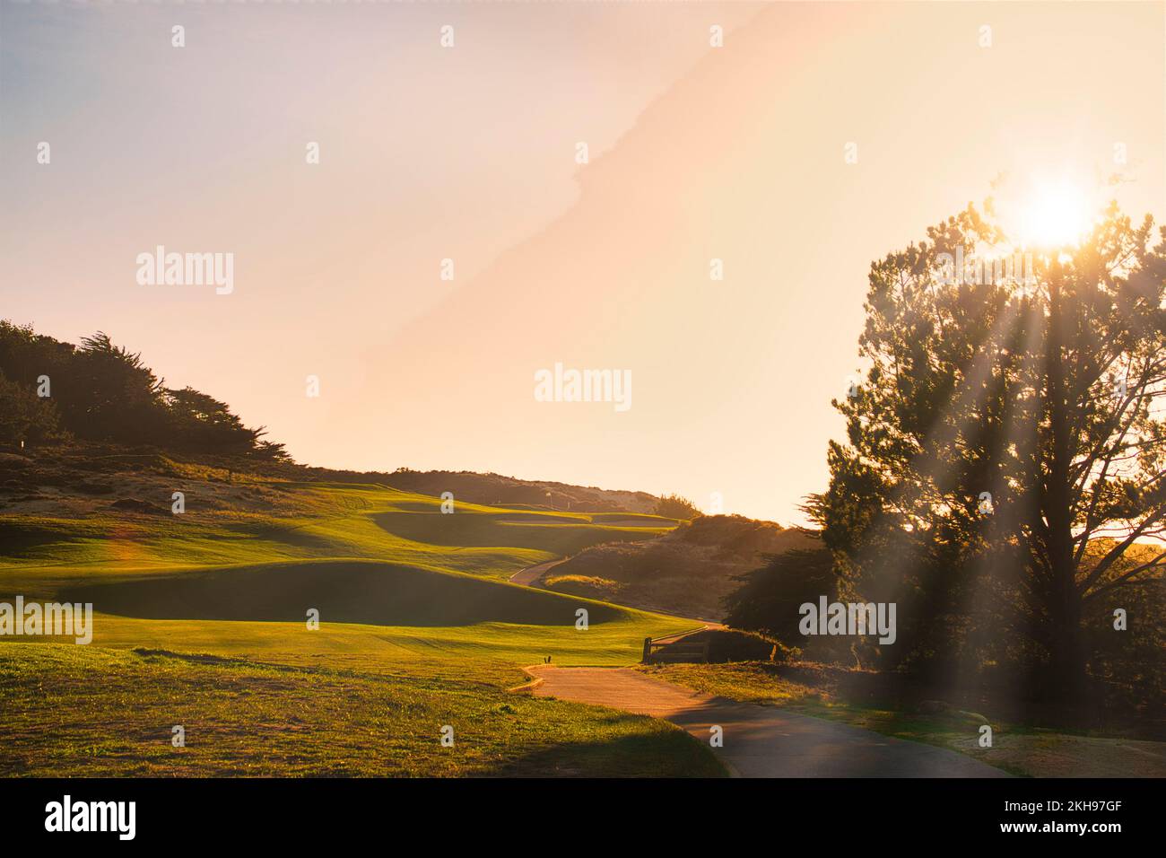 Pebble Beach, Monterey Peninsula, California, USA - 13th November, 2022 ...