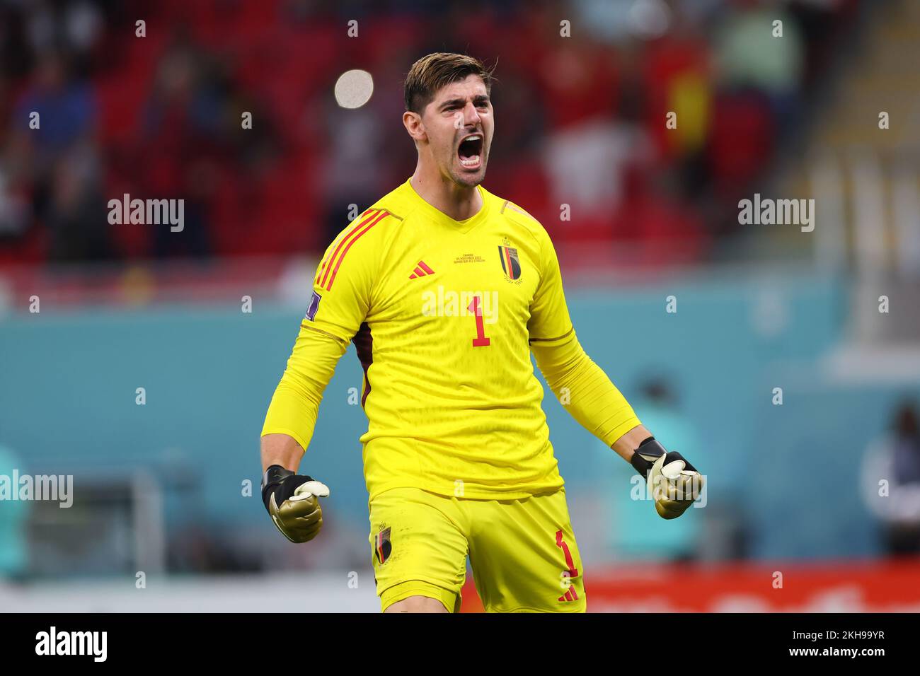 Al Rayyan, Qatar. 23rd Nov, 2022. Thibaut Courtois (BEL) Football ...