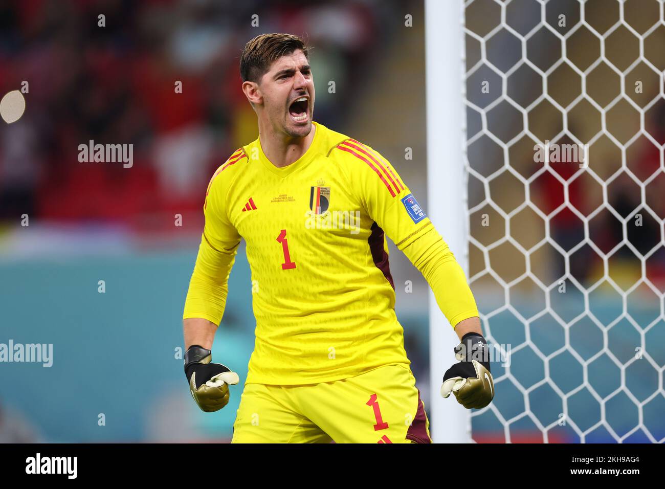 Al Rayyan, Qatar. 23rd Nov, 2022. Thibaut Courtois (BEL) Football ...
