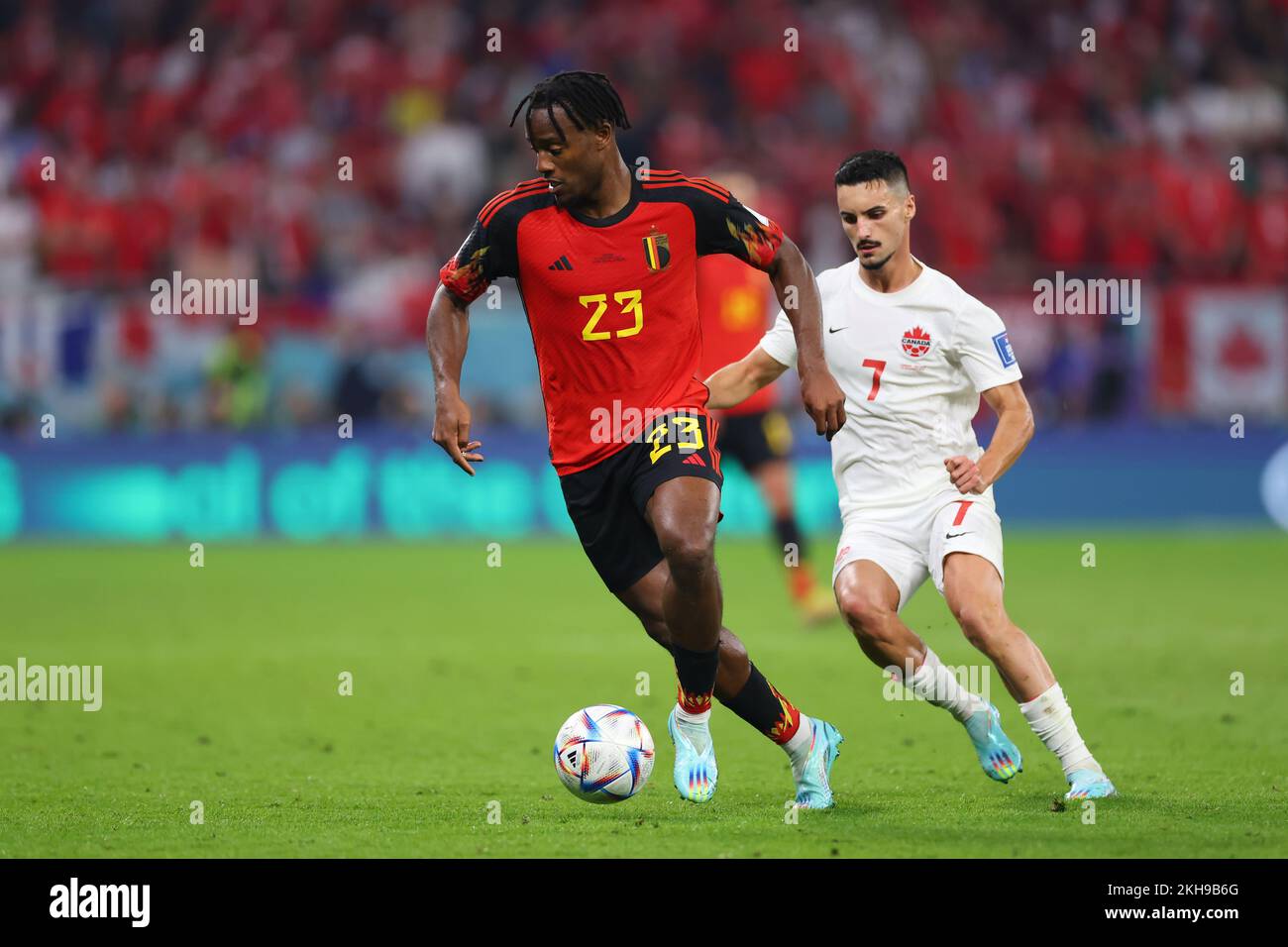 Al Rayyan, Qatar. 23rd Nov, 2022. Michy Batshuayi (BEL) Football/Soccer ...