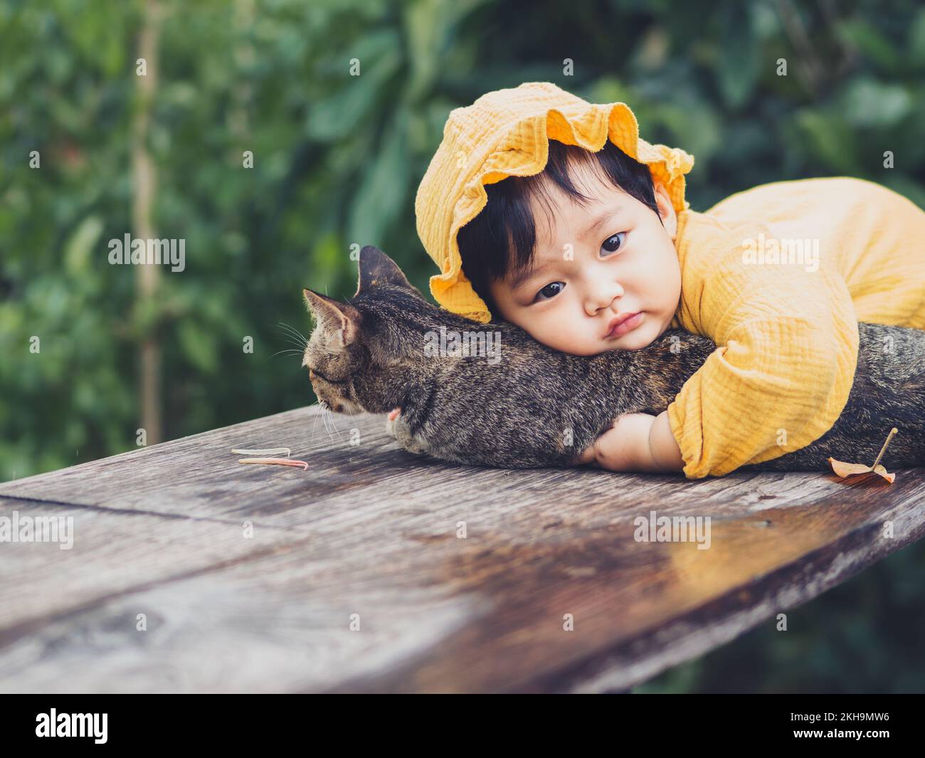 Asian baby of Thai nationality and cat at Thung Saliam, Sukhothai ...