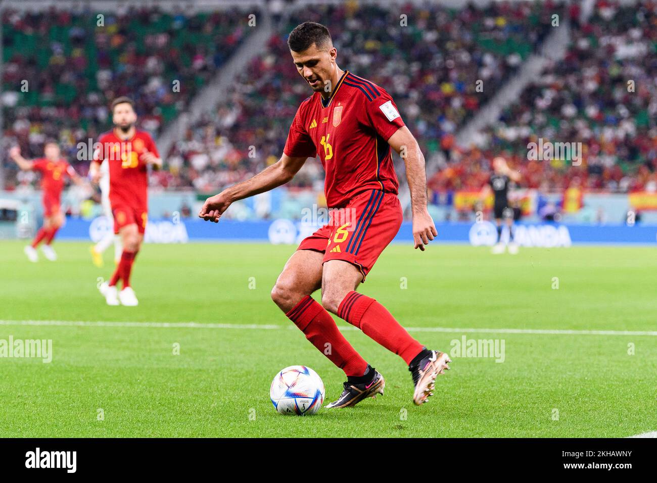 Rodri spain world cup 2022 qatar hi-res stock photography and images ...