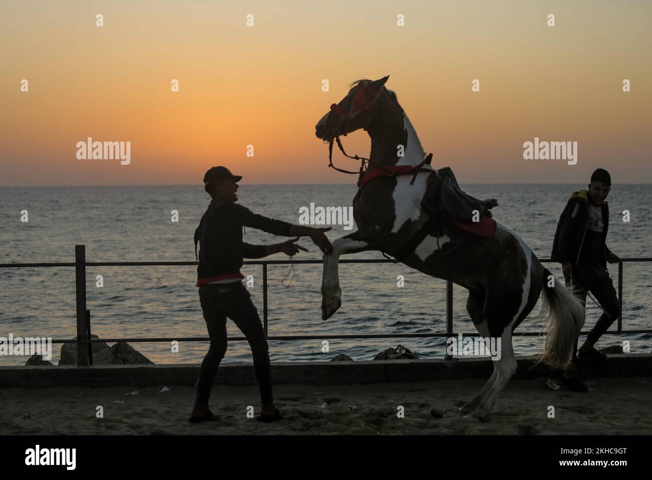 Gaza, Palestine. 23rd Nov, 2022. A Palestinian plays with his horse ...
