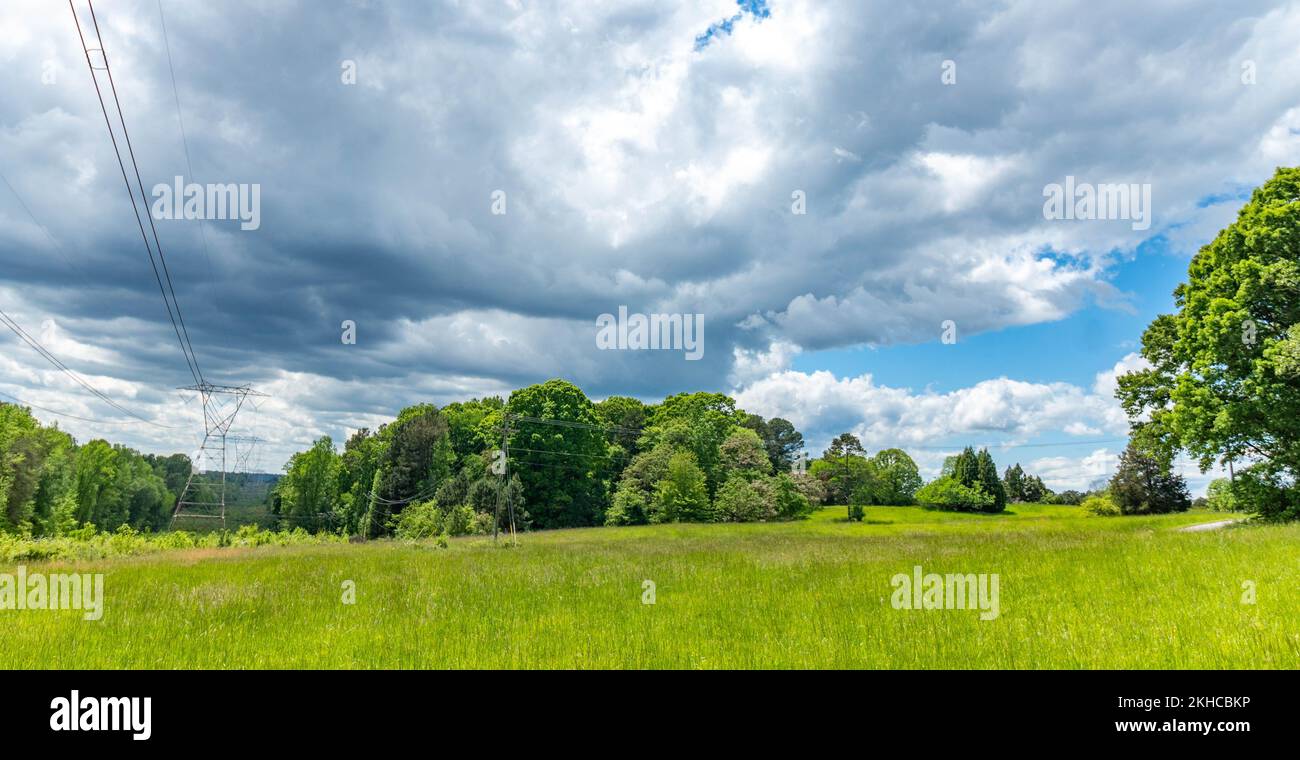 Green way hi-res stock photography and images - Alamy