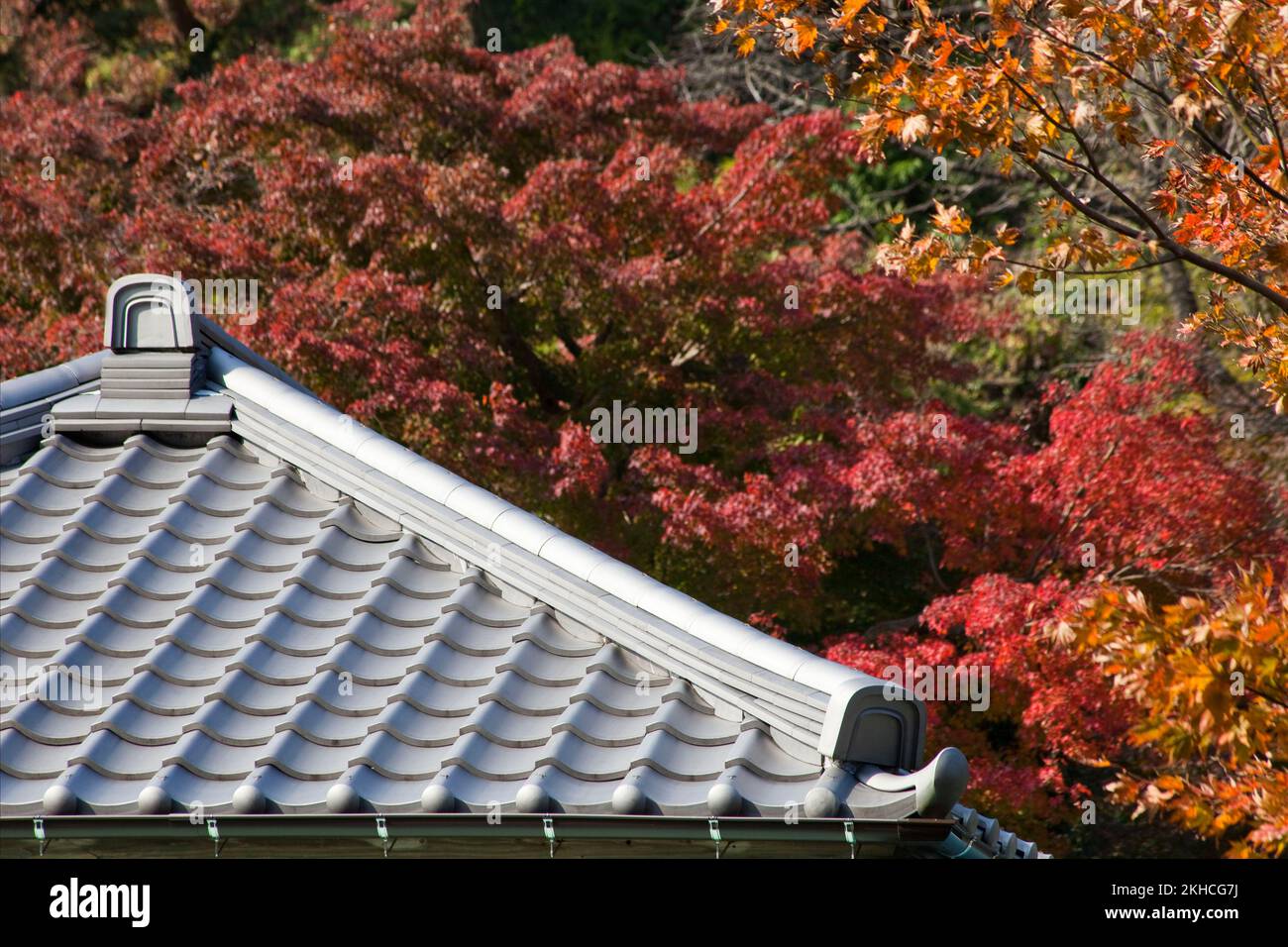 Traditional japanese roof style hi-res stock photography and images - Alamy