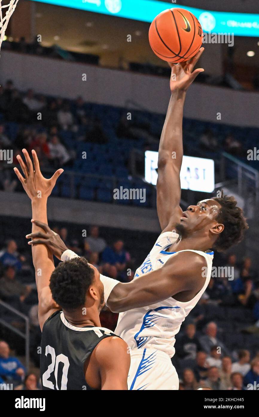 Paulquinn hi-res stock photography and images - Alamy