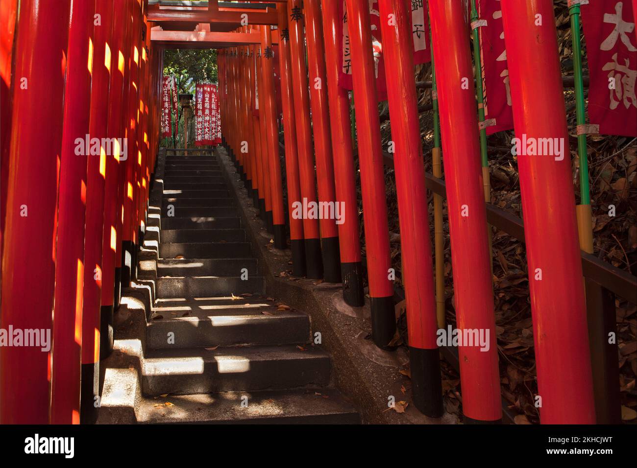Torii gates hillside entrance Hie Jinja Shrine Tokyo Japan Stock Photo ...