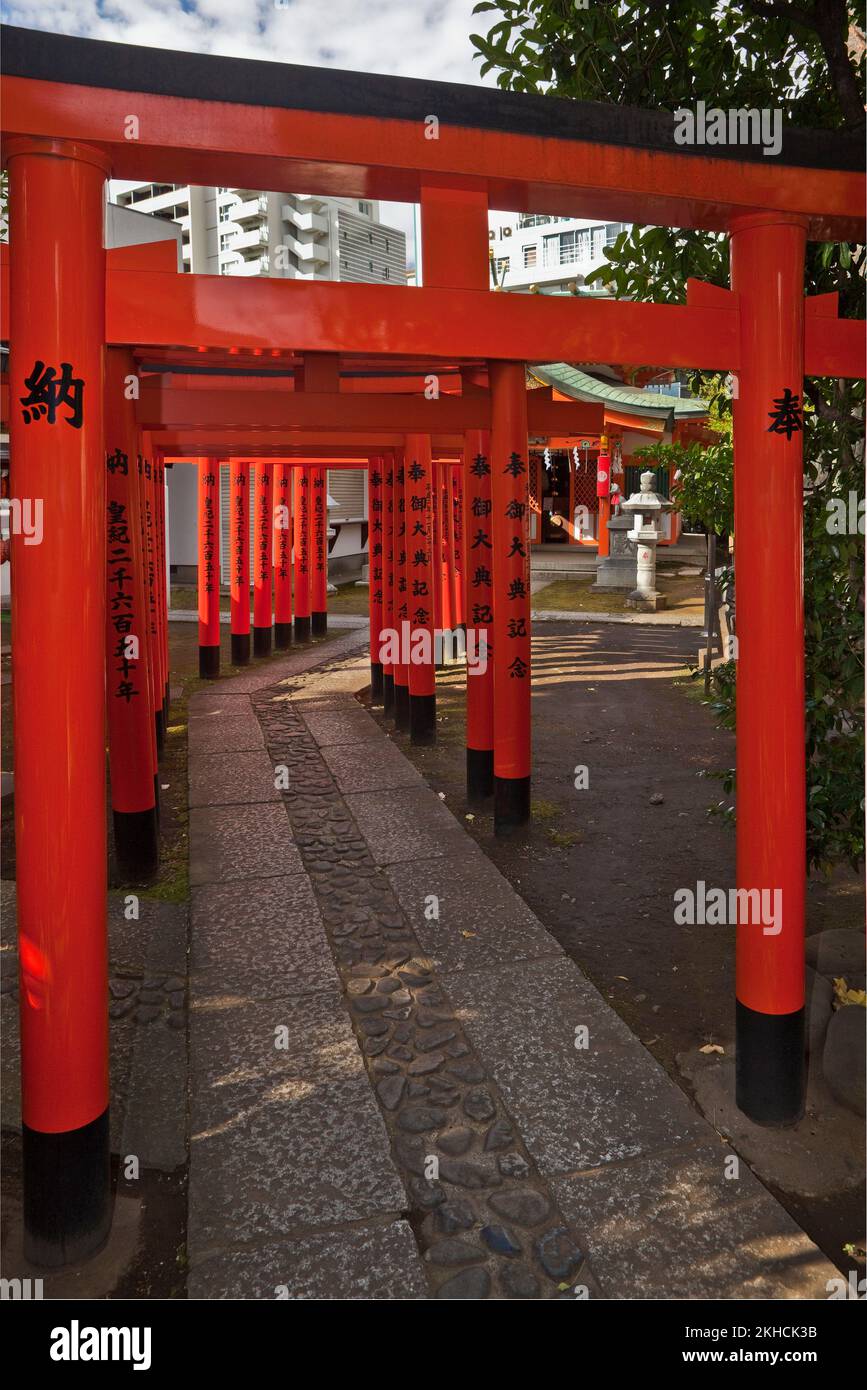 Torii gates Toyosaka Inari Shrine Shibuya Tokyo Japan Stock Photo - Alamy
