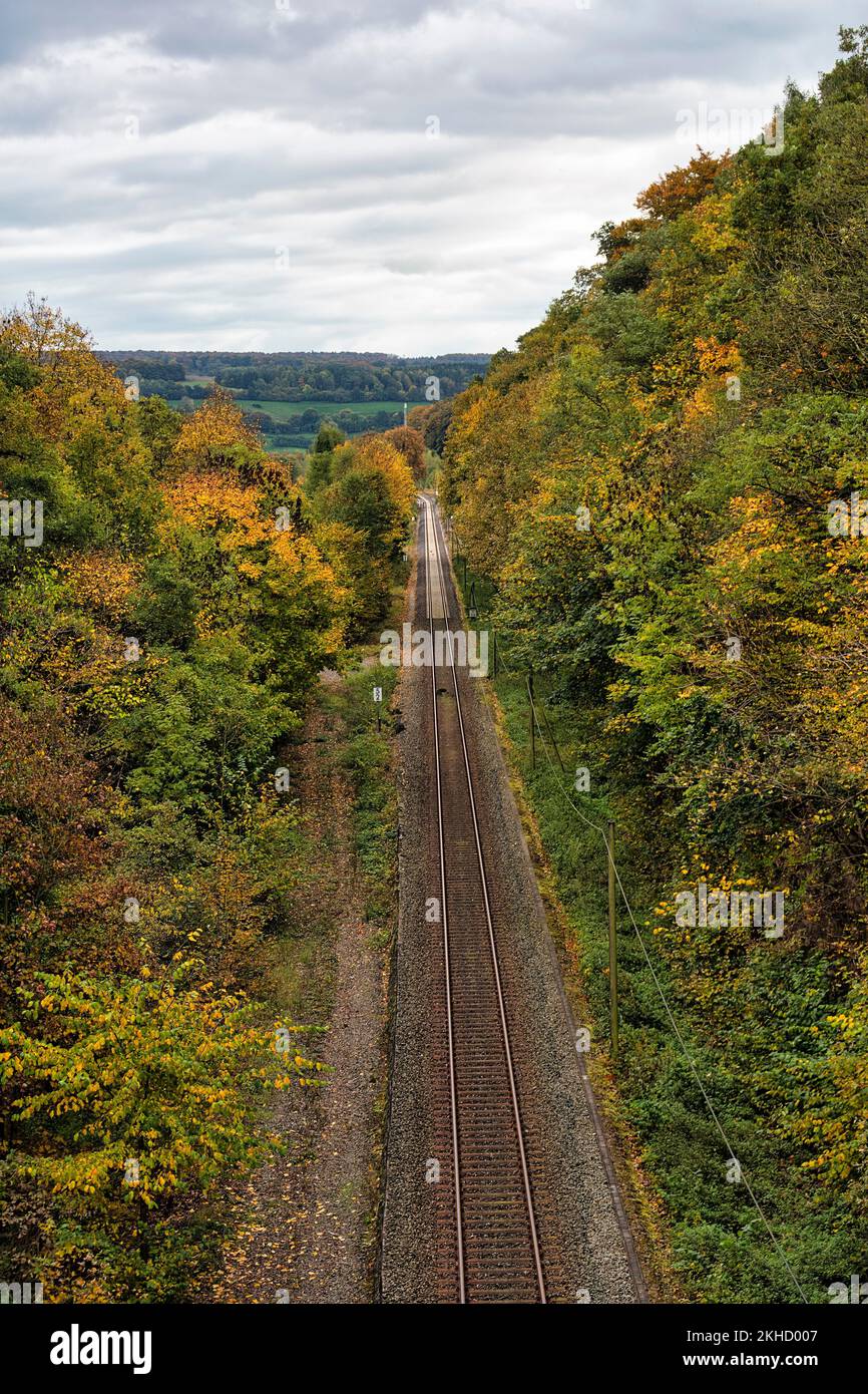 Single-track railway line, symbolic image of public transport in rural ...