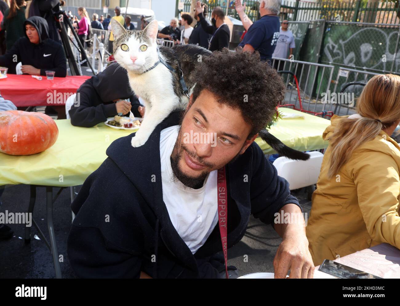 Los Angeles, Ca. 23rd Nov, 2022. Travis and David the Cat at Los ...