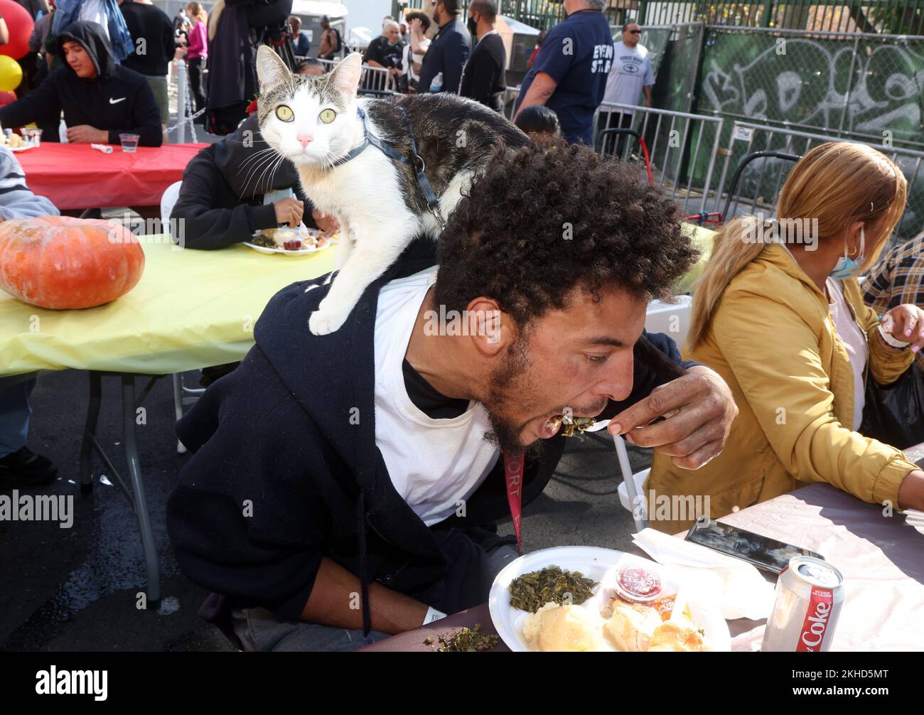 Los Angeles, Ca. 23rd Nov, 2022. Travis and David the Cat at Los ...