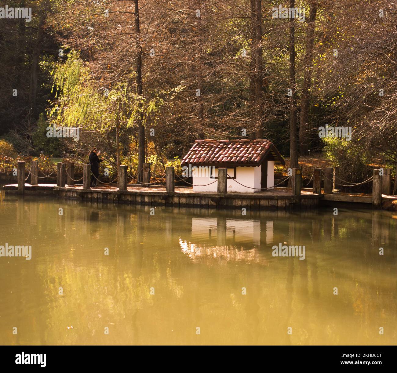 Little hut for shelter made in simple style in view Stock Photo - Alamy