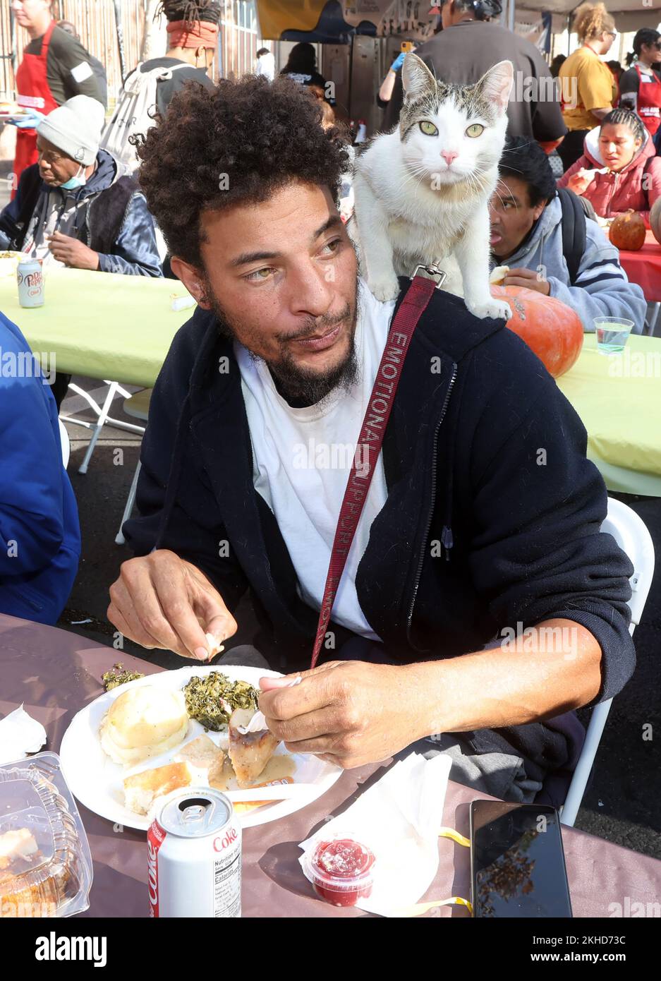 Los Angeles, Ca. 23rd Nov, 2022. Travis and David the Cat at Los ...