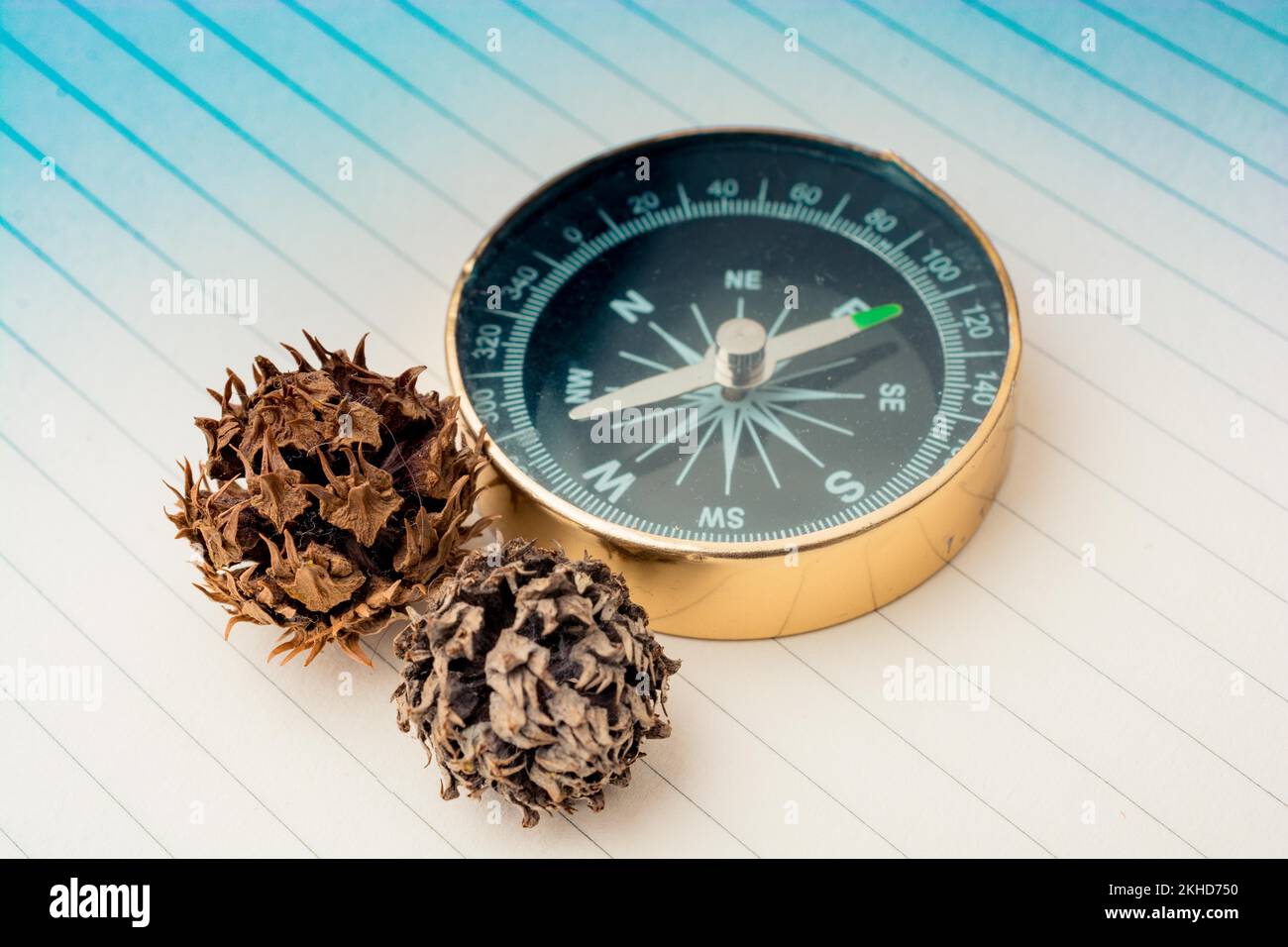 Orientation instrument hi-res stock photography and images - Alamy