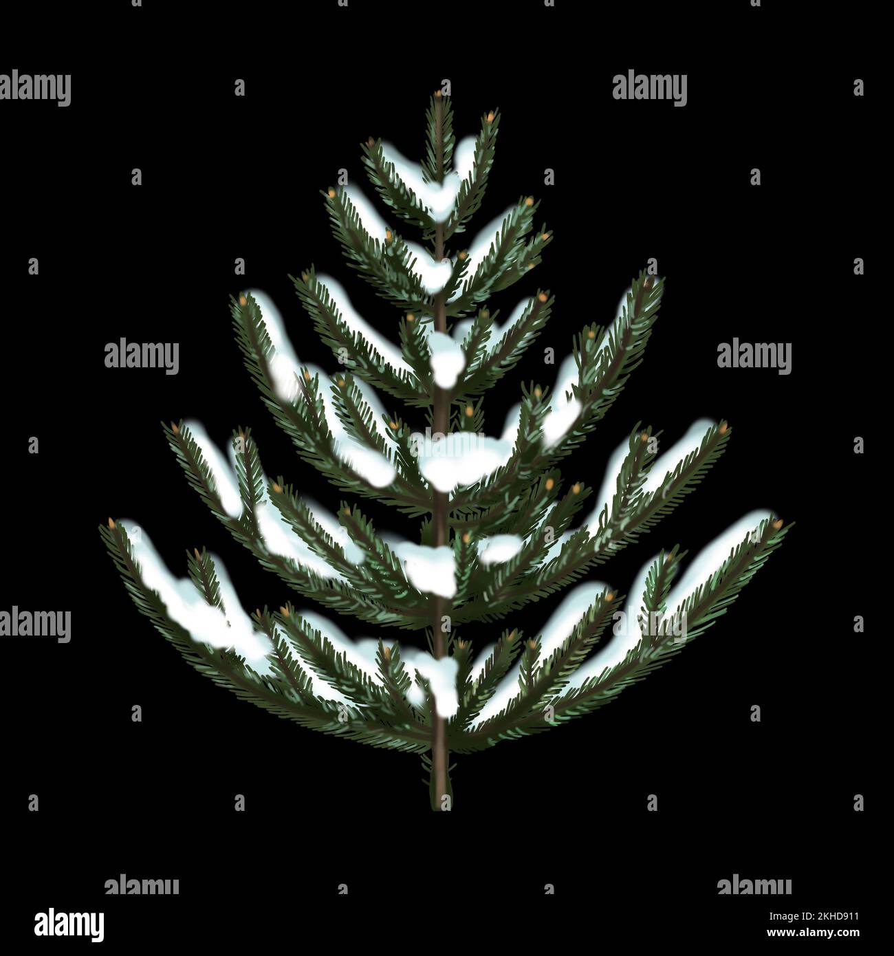 watercolor green Christmas tree. Realistic illustration of spruce ...