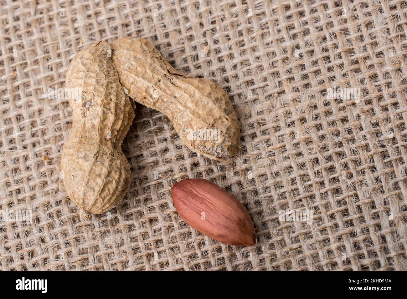 Cracked open peanut with shell on a linen canvas background Stock Photo ...