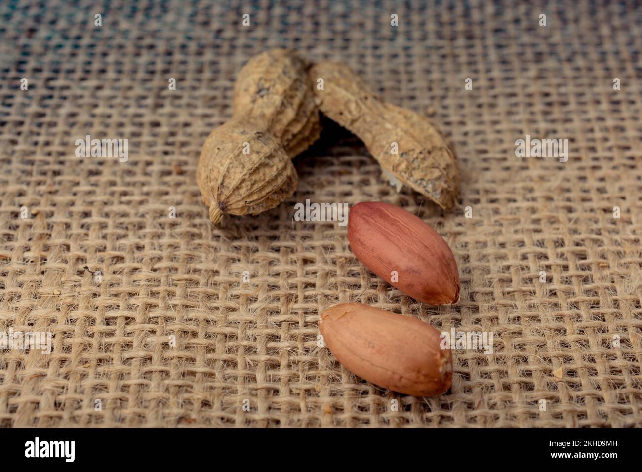 Cracked open peanut with shell on a linen canvas background Stock Photo ...