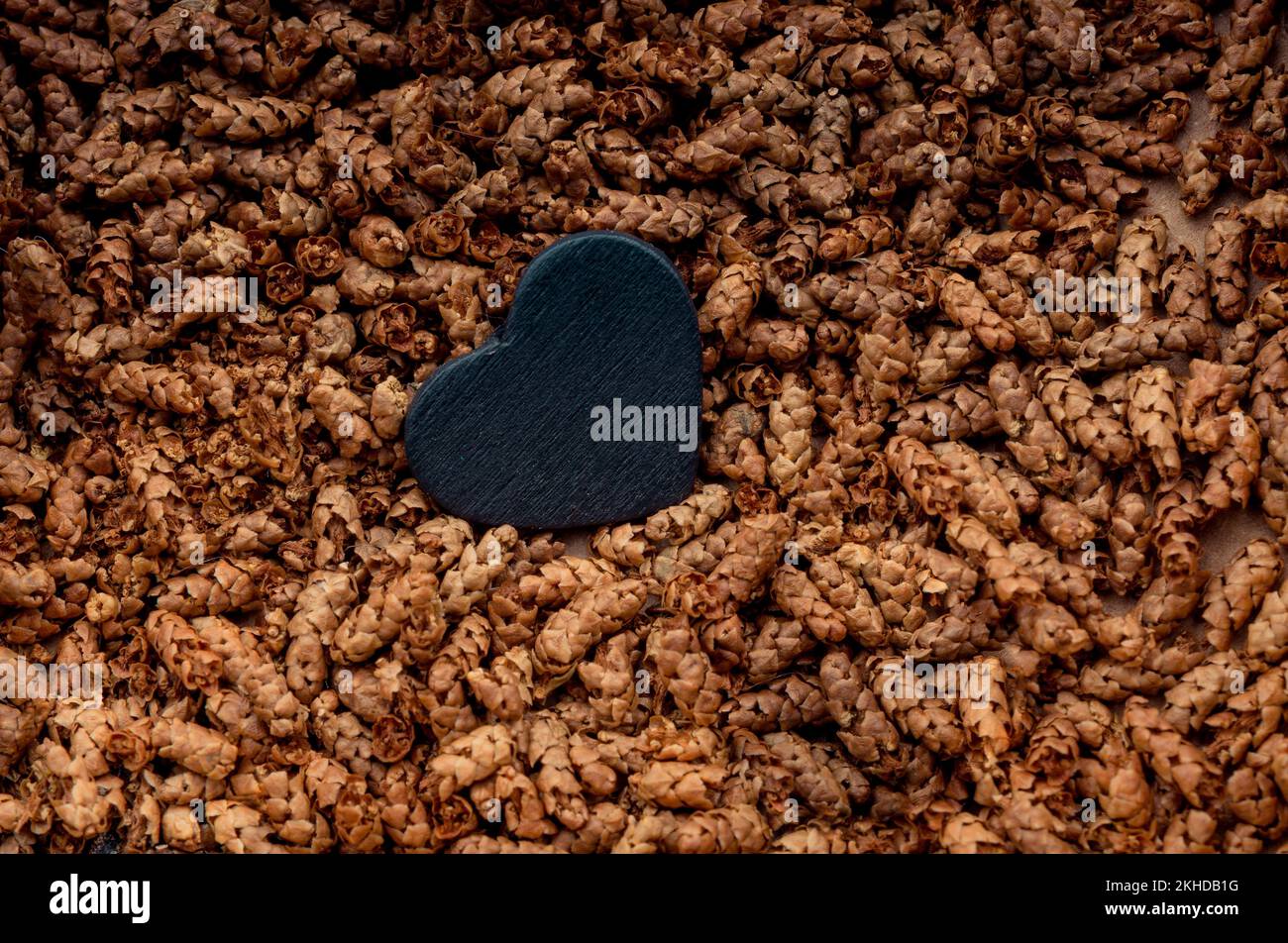 Heart shaped objects on brown leaves Stock Photo - Alamy