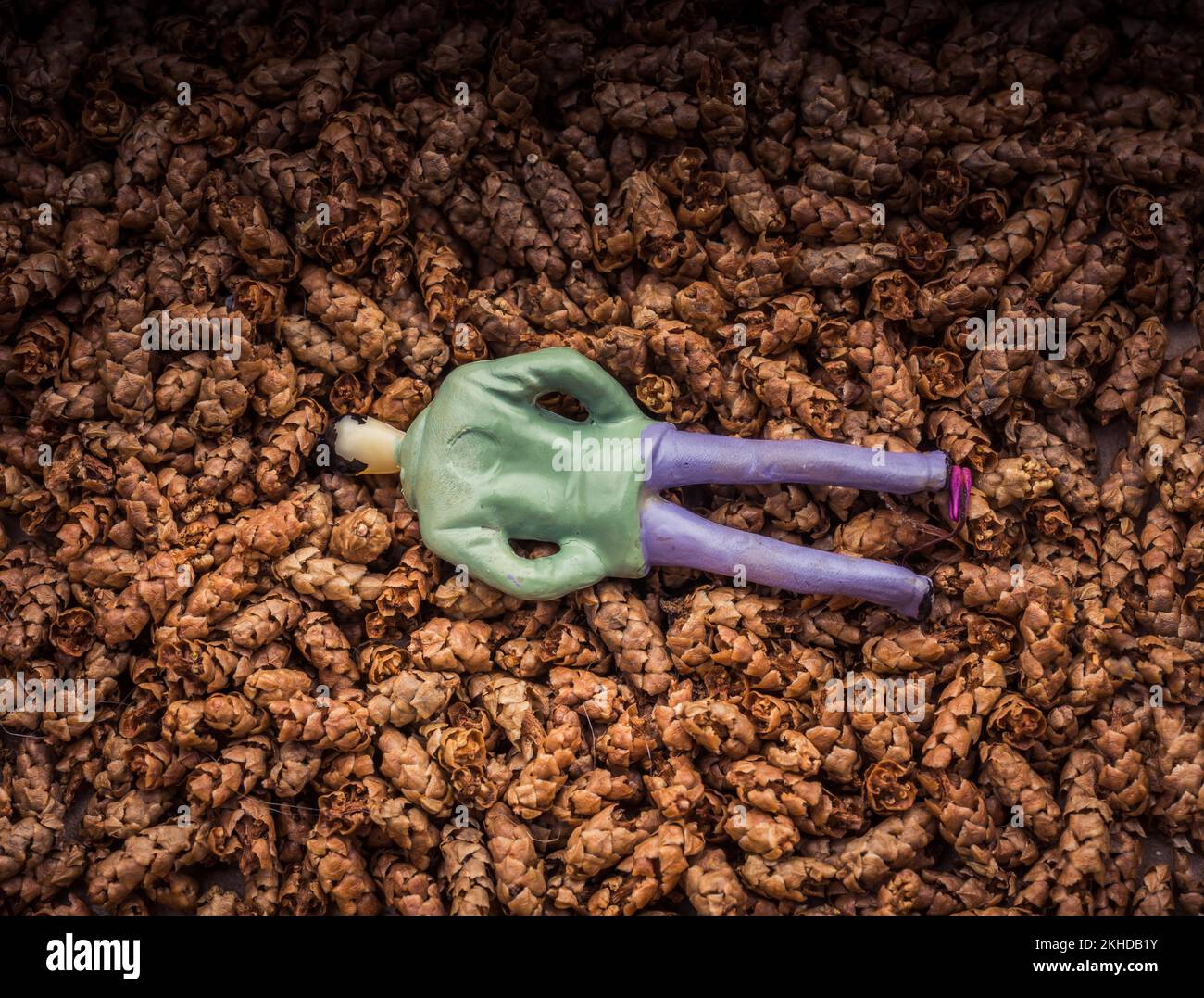 Little tiny man figurine in view Stock Photo - Alamy