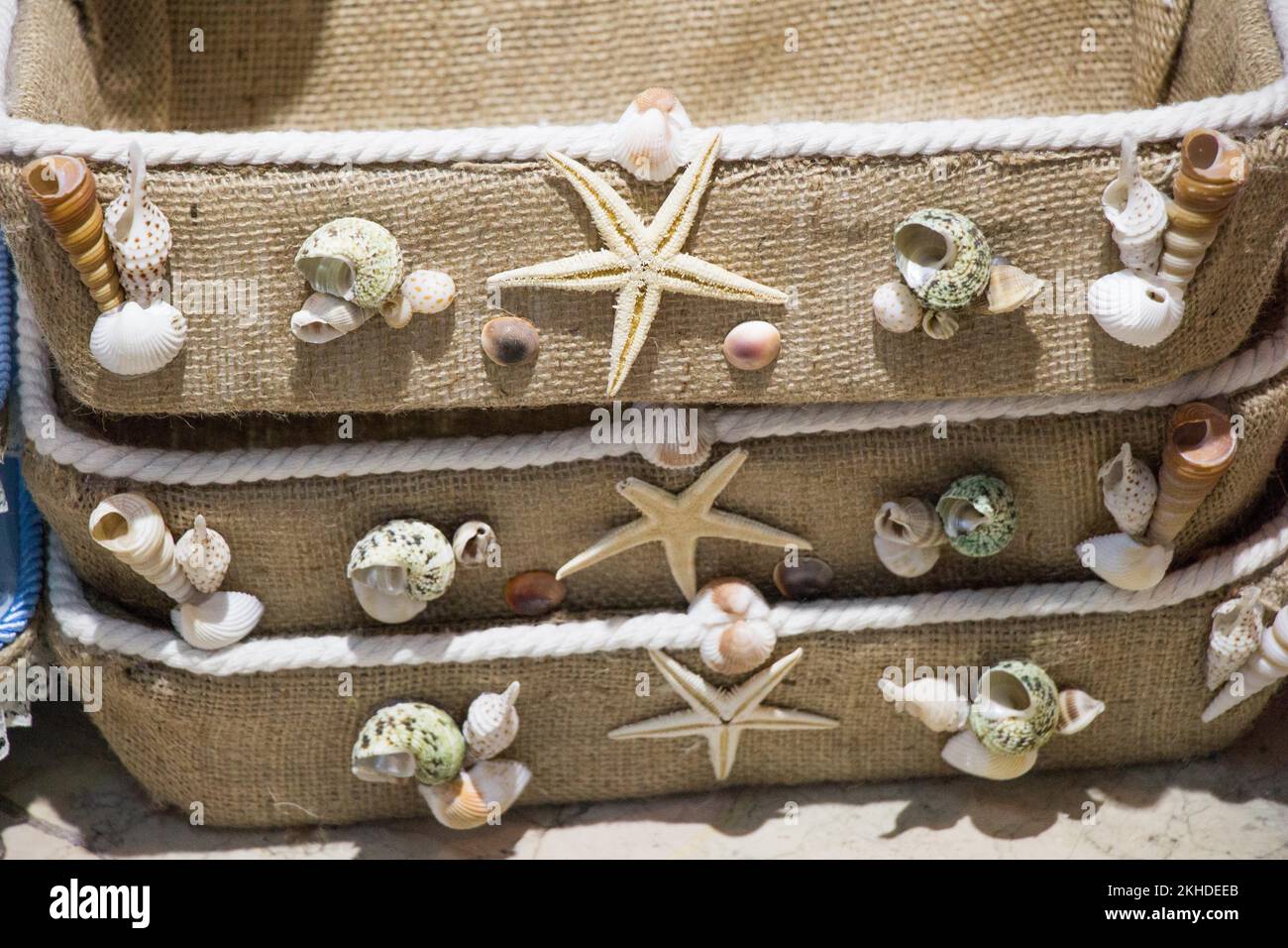 Various types of little seashells and starfish on the face of the ...