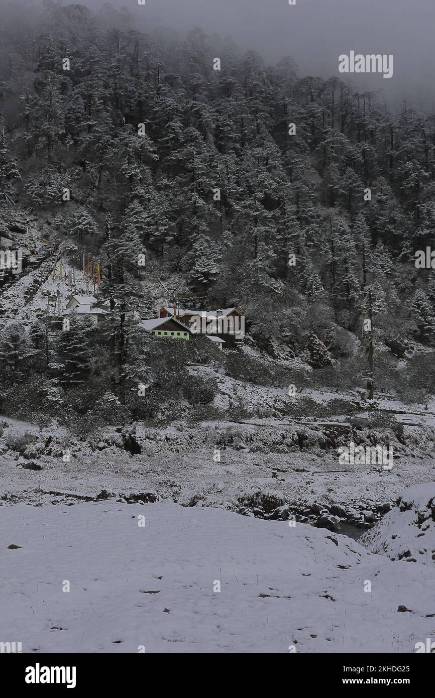 Snowfall in sikkim hi-res stock photography and images - Alamy