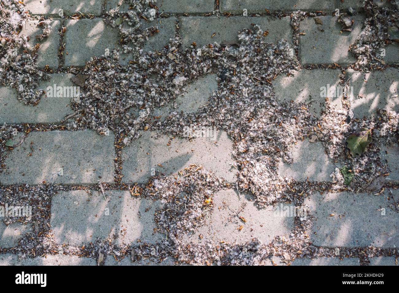 Backdrop and backgrounds texture details in abstract form Stock Photo ...