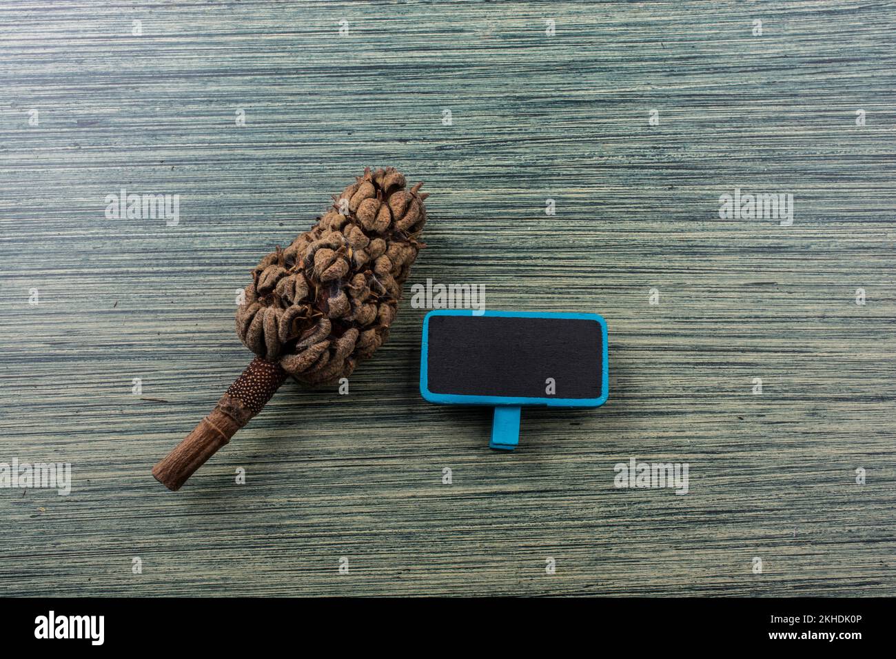 Mini notice board beside a tree pod, cone Stock Photo - Alamy