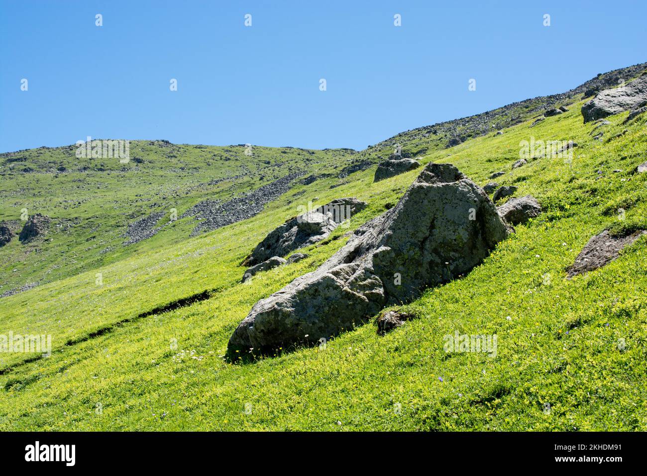Green pasture in mountains during summer as nature background Stock ...
