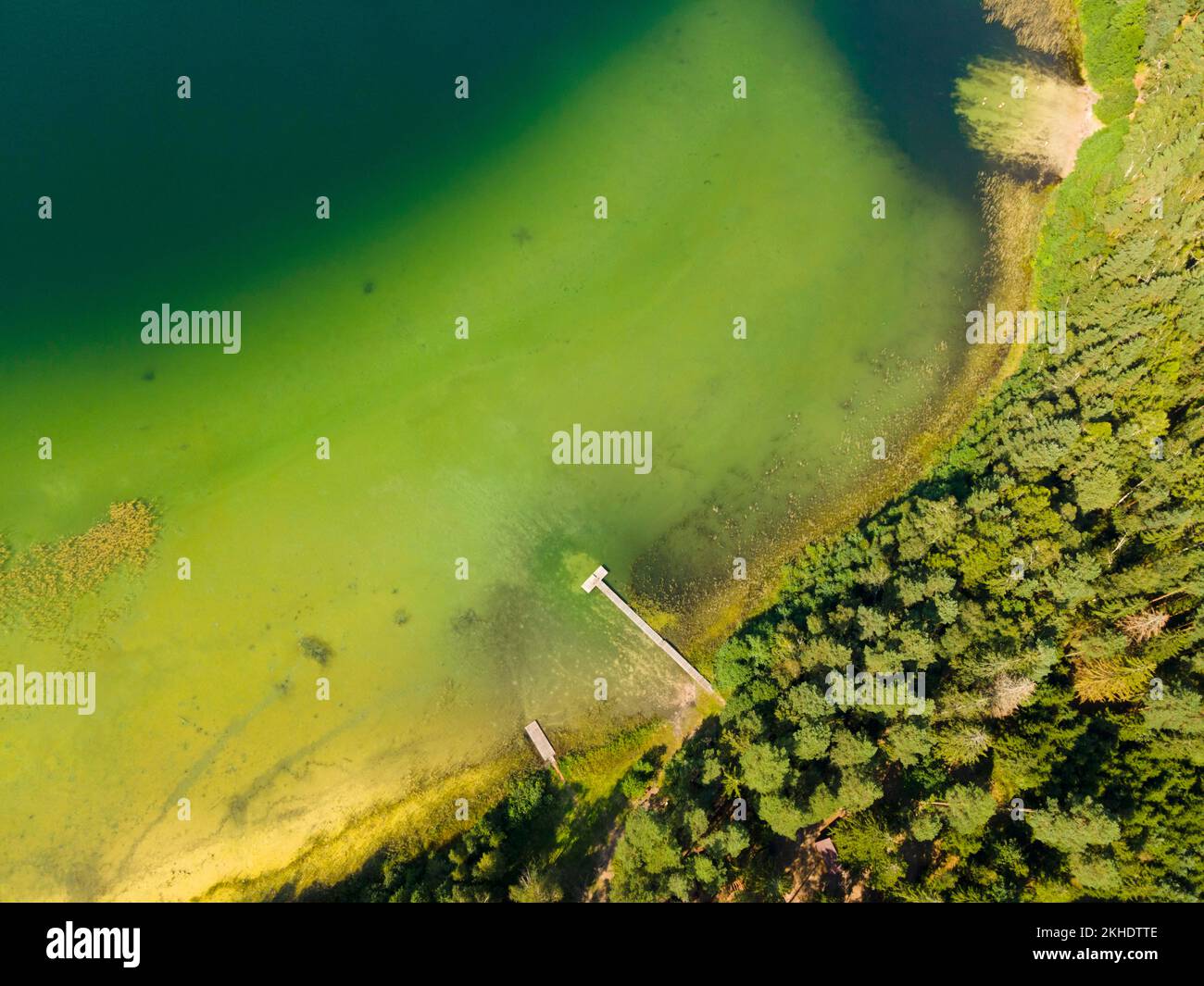 Footbridge leading into Lake Plaskie, Jezioro Plaskie, Suwalszczyzna ...