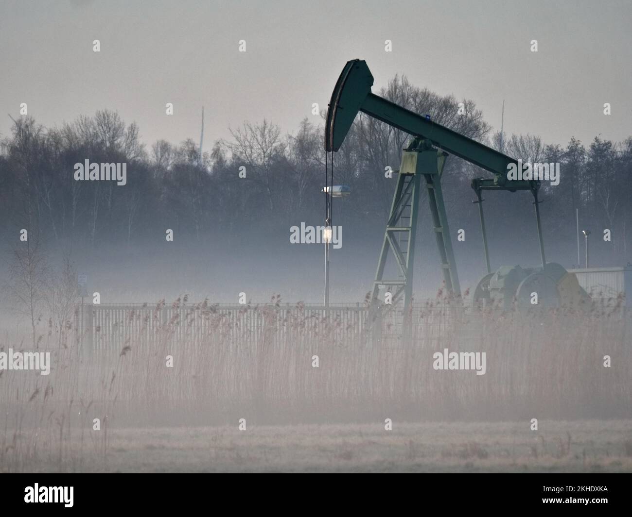 Horse-head pumping oil in the Kirchwerder Wiesen nature reserve, in ...