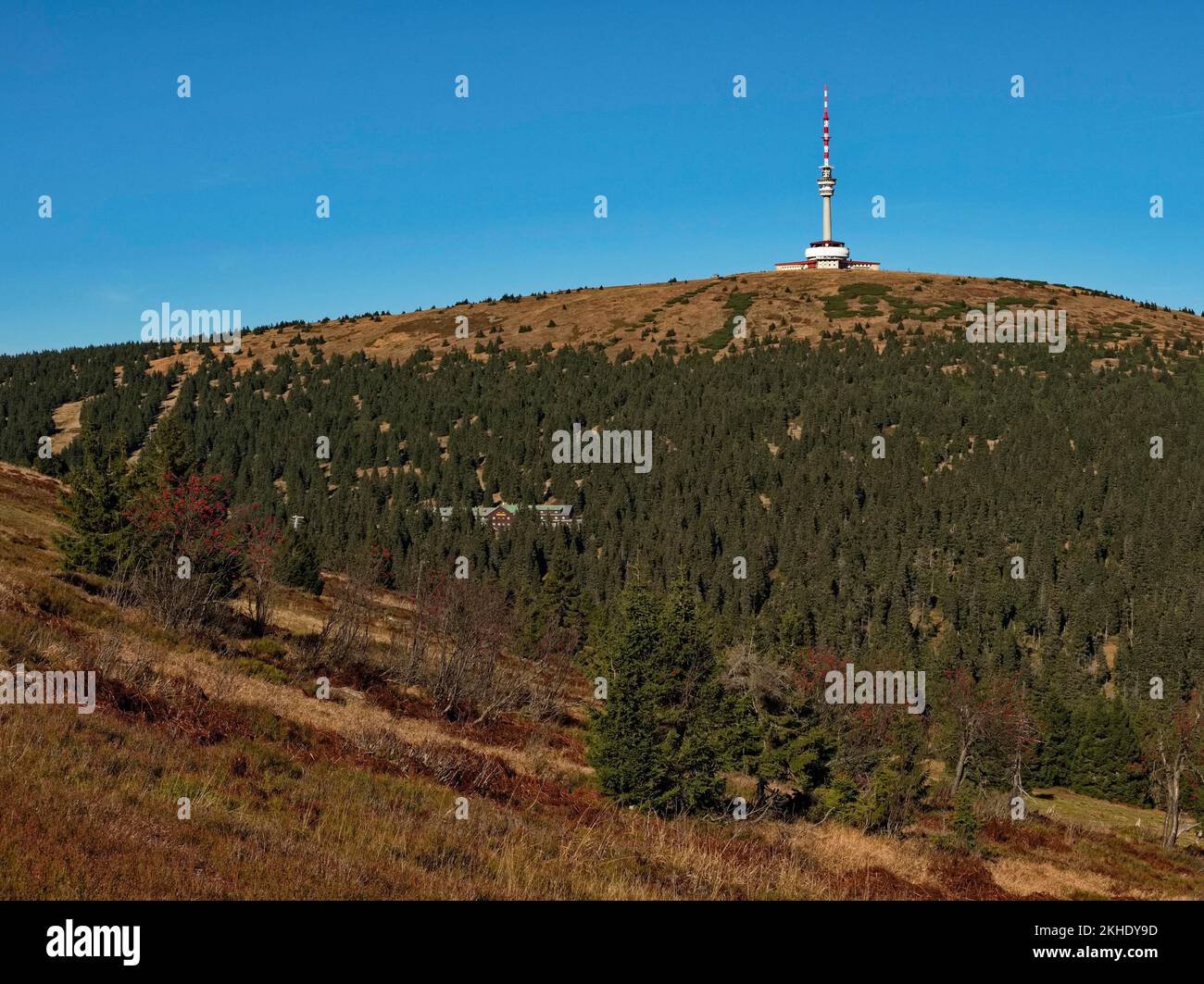 TV Tower on Meadow Hill in the Altvater Mountains in the Altvater ...